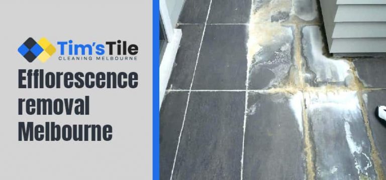 Efflorescence Removal Melbourne | Tims Tile Cleaning Melbourne